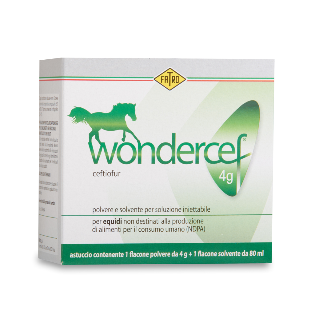 Wondercef Equidi 4 g Tr.-Subst.m.Lsg.M. - DK Pharma GmbH